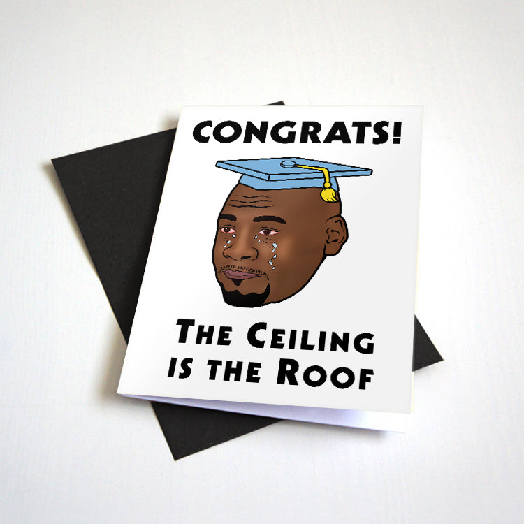 The Ceiling Is The Roof Meme | Shelly Lighting